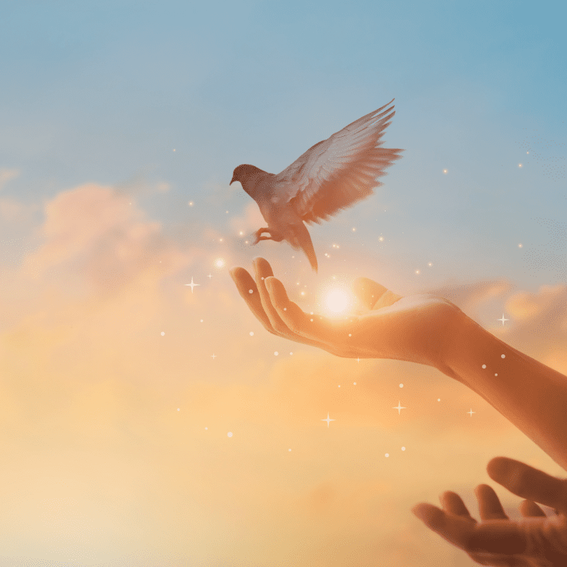 Radically Forgiving - PureEsperanza